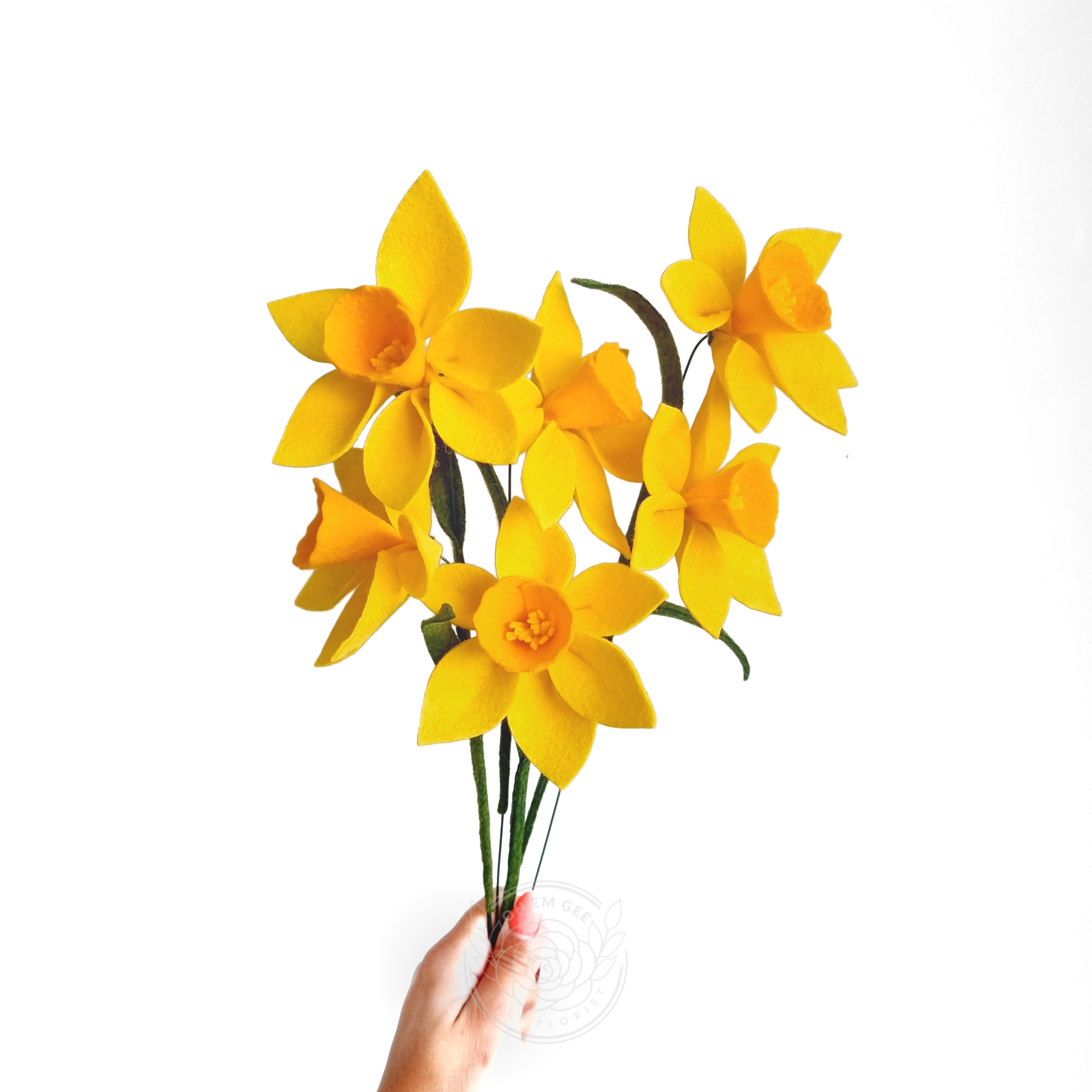 Daffodil – 6 stems – Oh Em Gee – Felt Florist